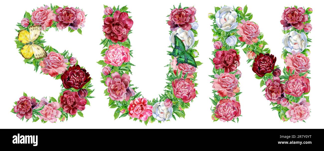 Word SUN of watercolor flowers, isolated hand drawn on a white ...