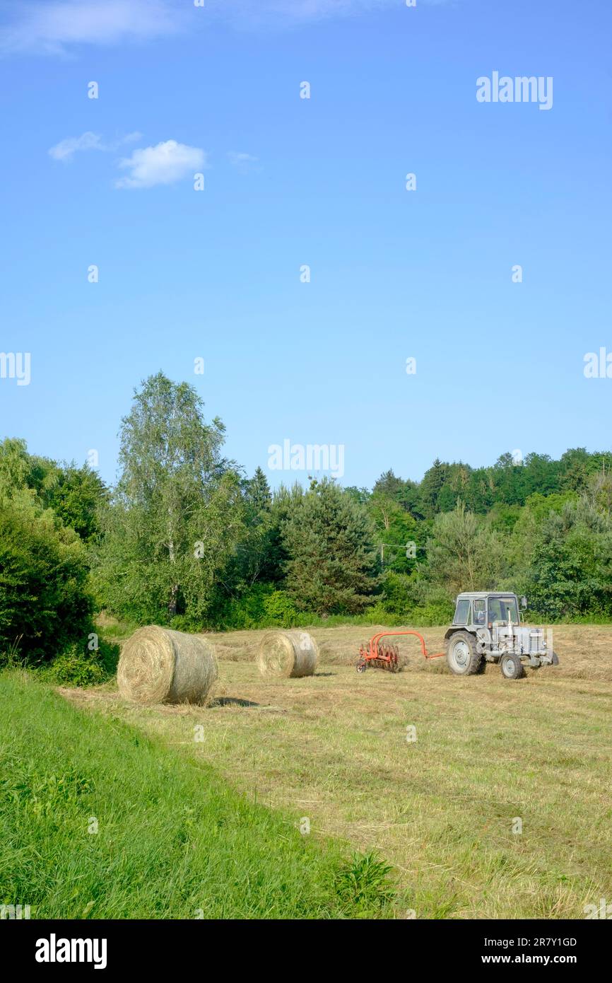 tractor collating and turning over lines of cut grass in field ready ...