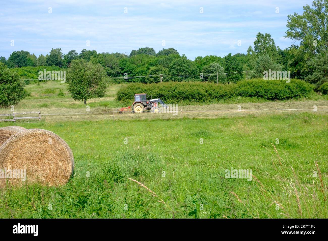 tractor collating and turning over lines of cut grass in field ready ...