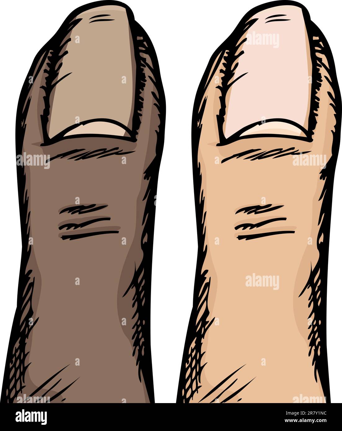 Dark and light-skinned versions of a human thumb isolated over white ...