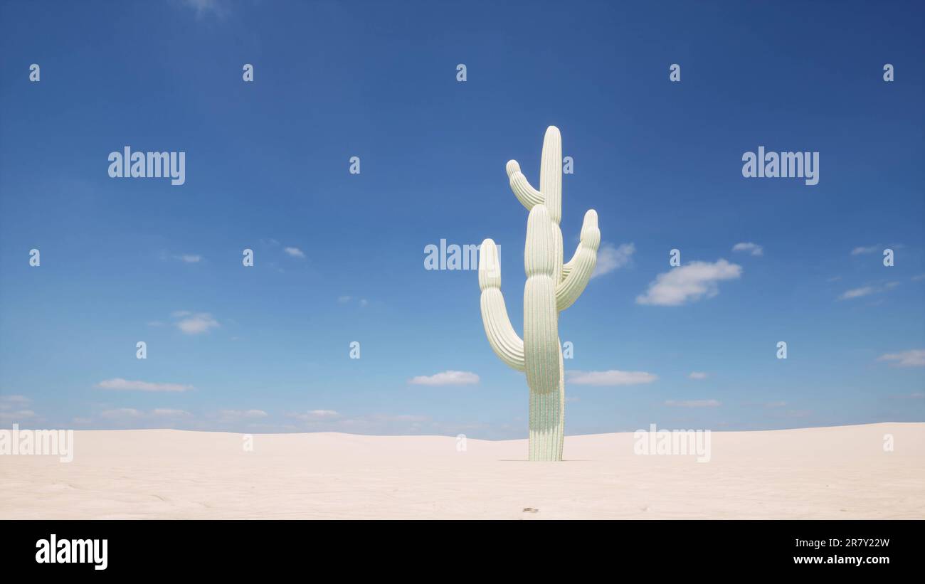 Arizona desert time lapse hi-res stock photography and images - Alamy