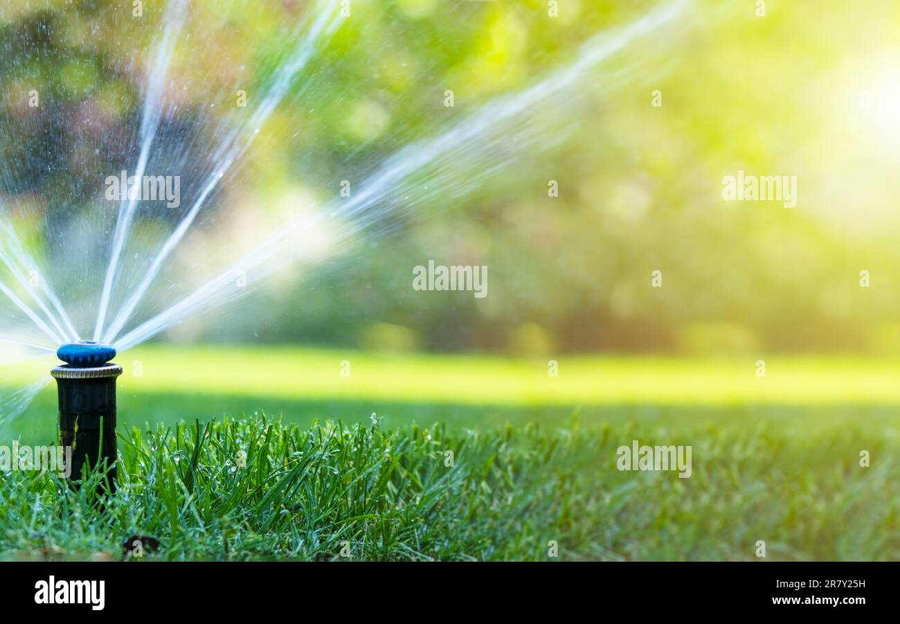 Irrigation system in home garden. Automatic lawn sprinkler watering ...