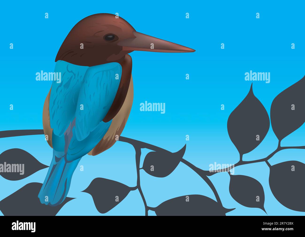 Kingfisher Bird Vector Illustration Stock Vector Image & Art - Alamy