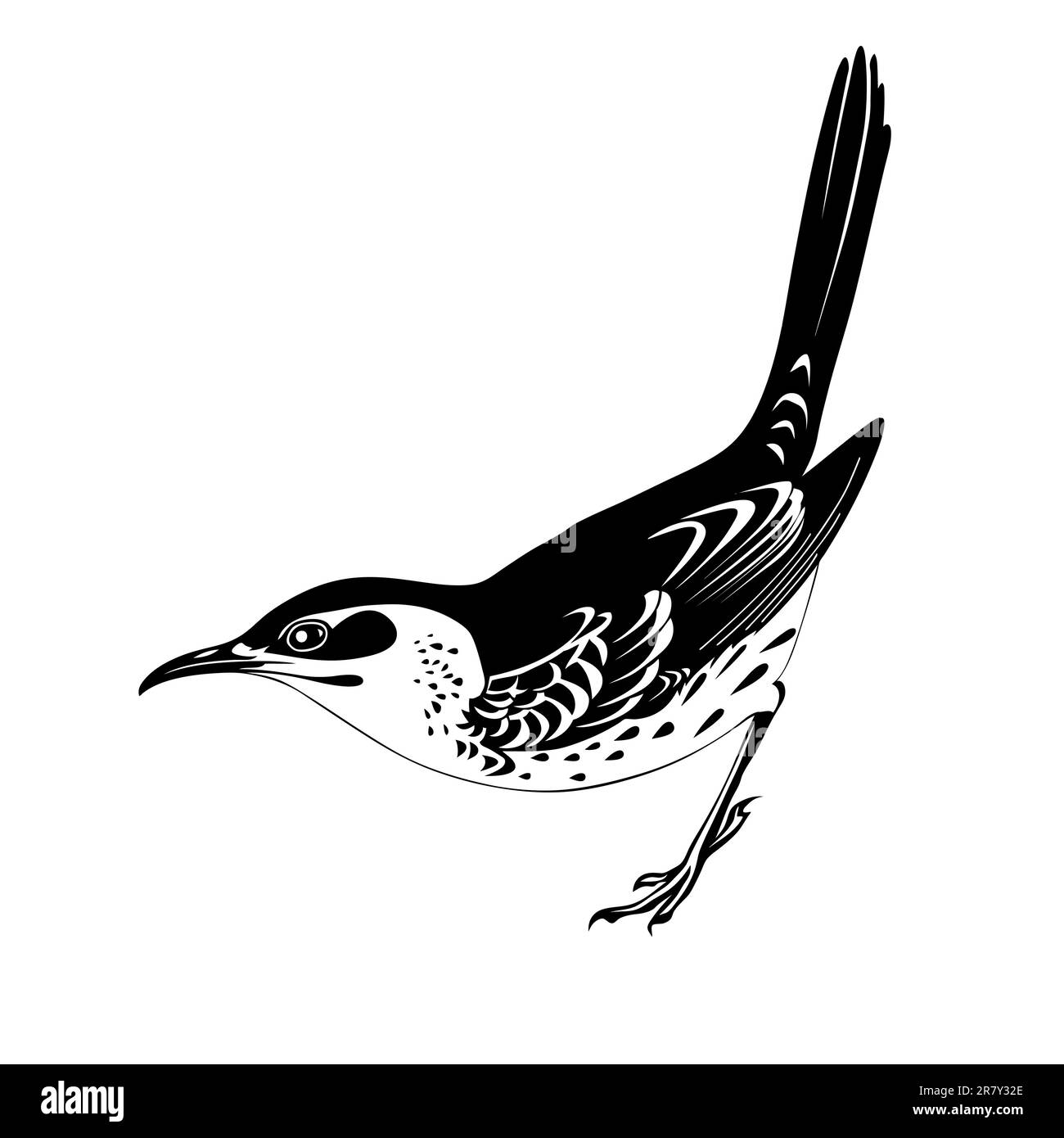 thrush silhouette on white background, vector illustration Stock Vector ...