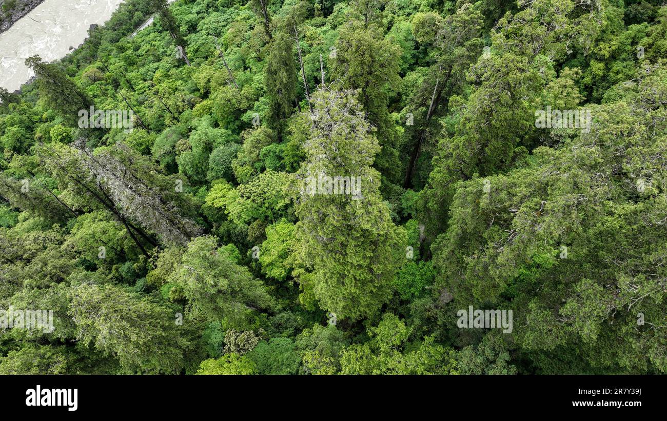 (230618) -- NYINGCHI, June 18, 2023 (Xinhua) -- This aerial photo taken ...