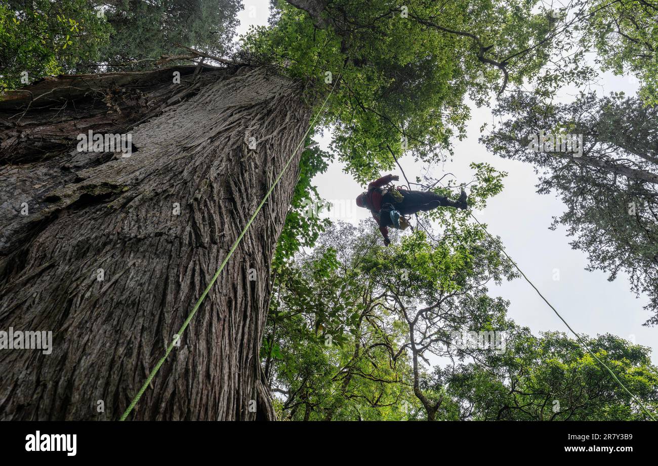 102 meter hi-res stock photography and images - Alamy