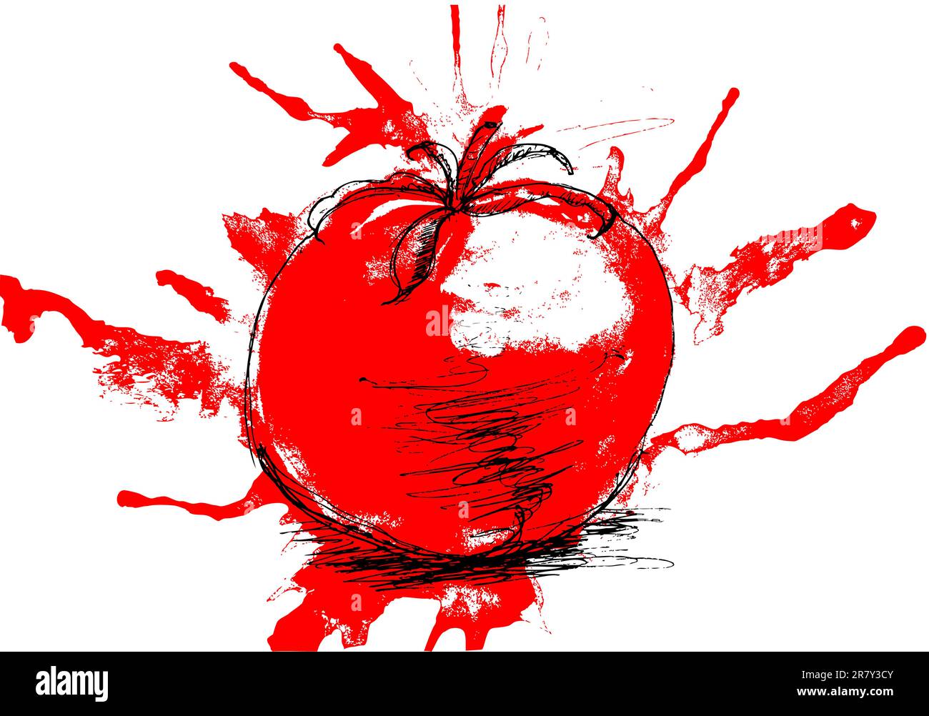 Stylized illustration of tomato Stock Vector Image & Art - Alamy