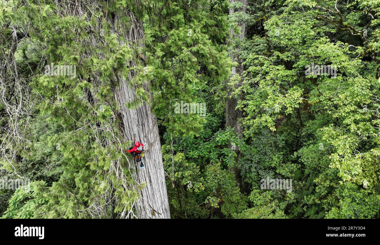 (230618) -- NYINGCHI, June 18, 2023 (Xinhua) -- This aerial photo taken ...
