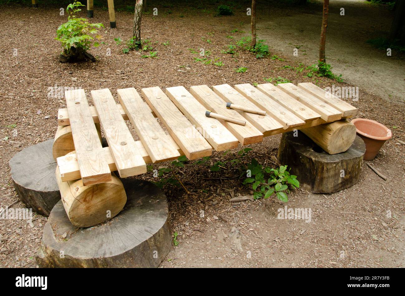 Instruments for kids hi-res stock photography and images - Alamy