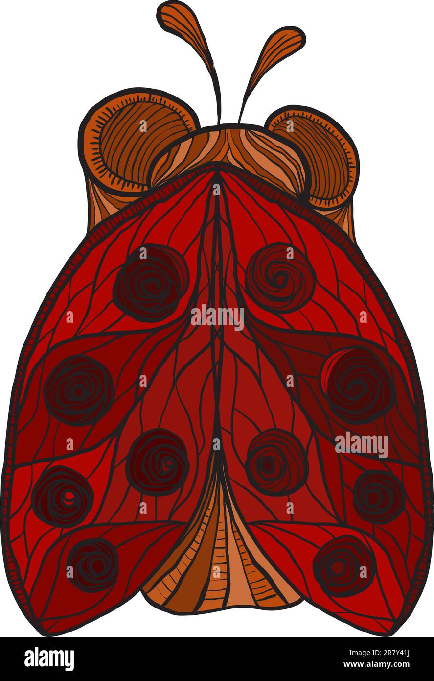 Ladybug line art hi-res stock photography and images - Alamy