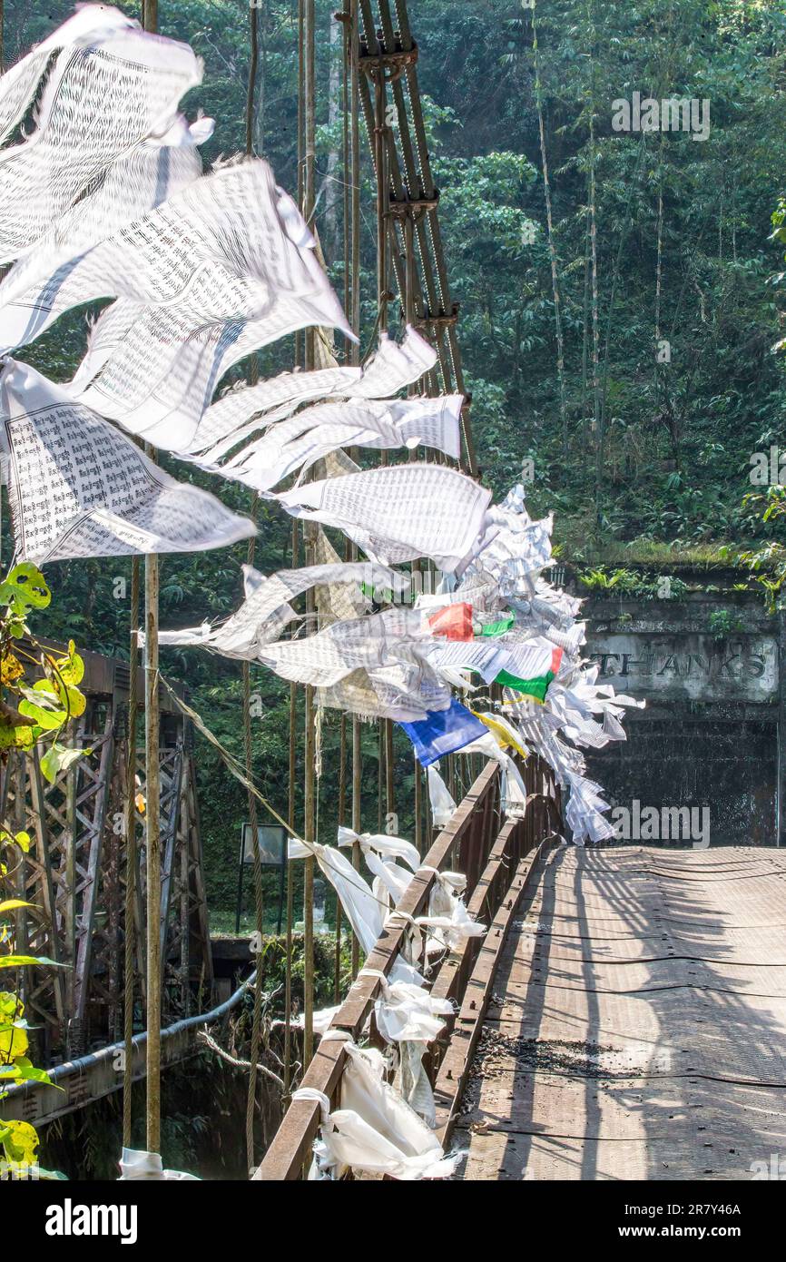 Guaranteeing a safe crossing! Stock Photo - Alamy