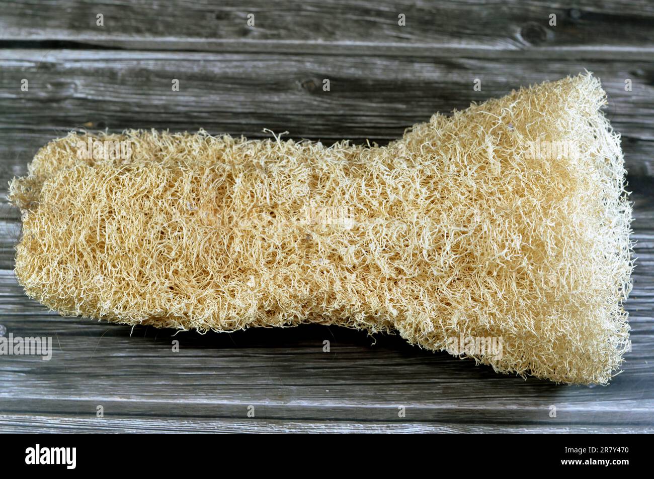 Loofah and bath hi-res stock photography and images - Alamy