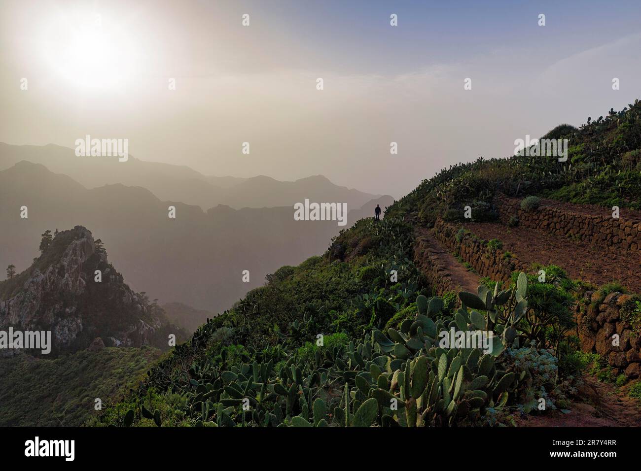 Hiking trail between opuntias on the hillside, mountain ranges on the ...
