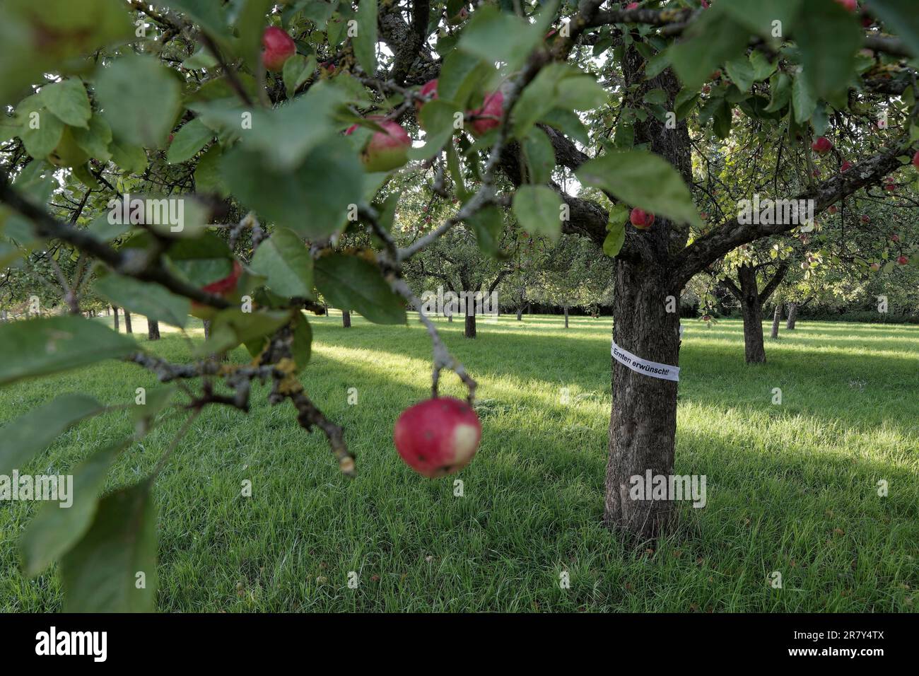 Cultivation food hall hi-res stock photography and images - Alamy