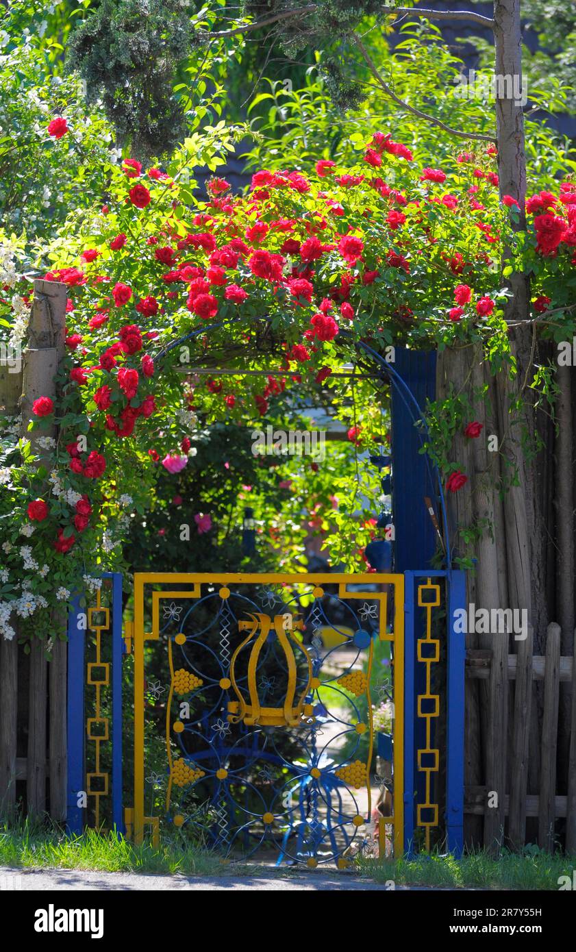 Garden gate arch hi-res stock photography and images - Alamy