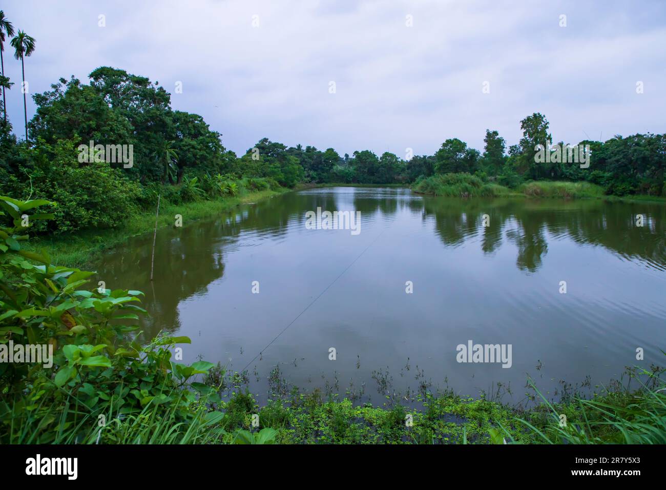 Landscape view of the Lake water and forest countryside of Bangladesh ...