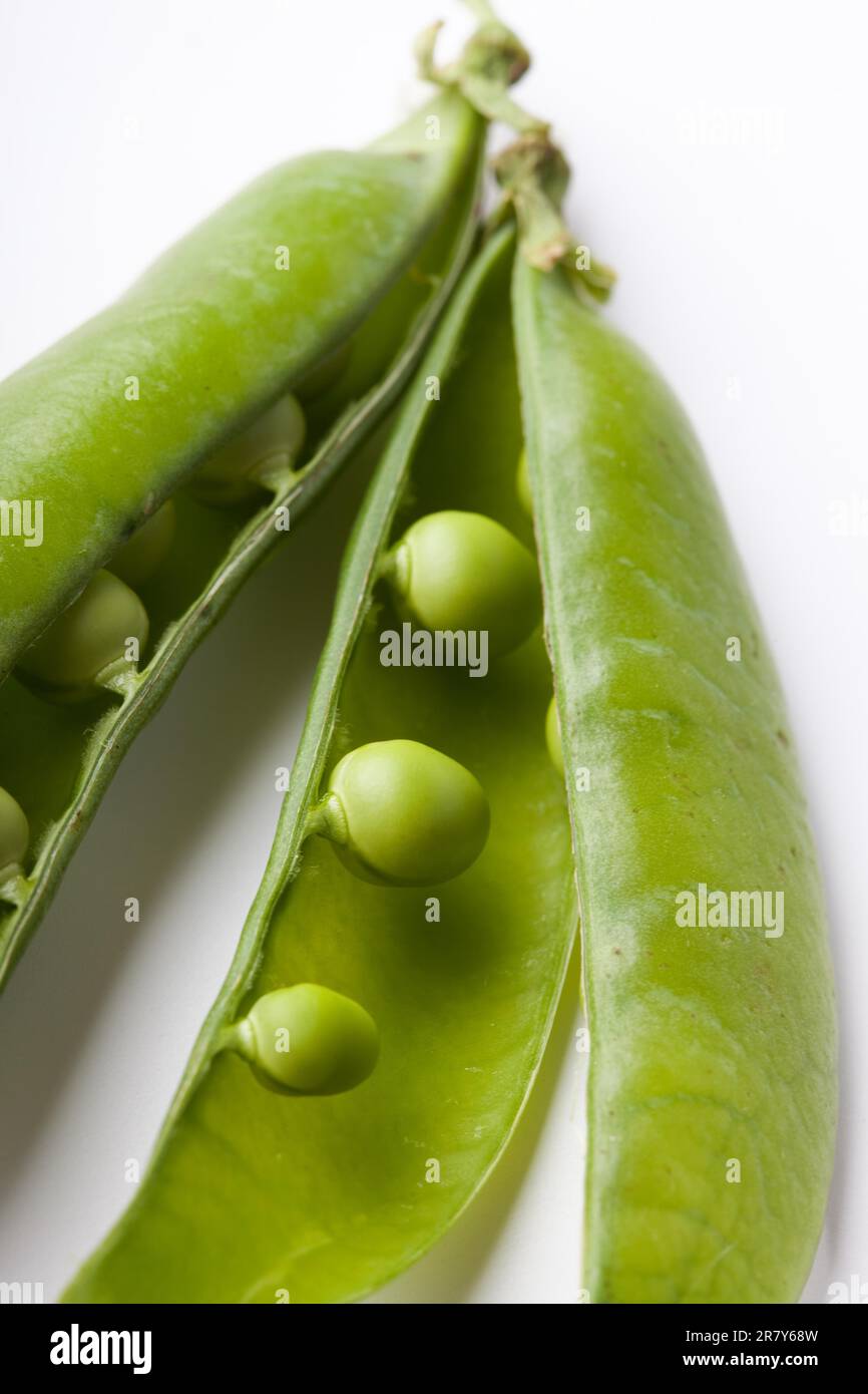 Fresh pea pods with a white background Stock Photo - Alamy