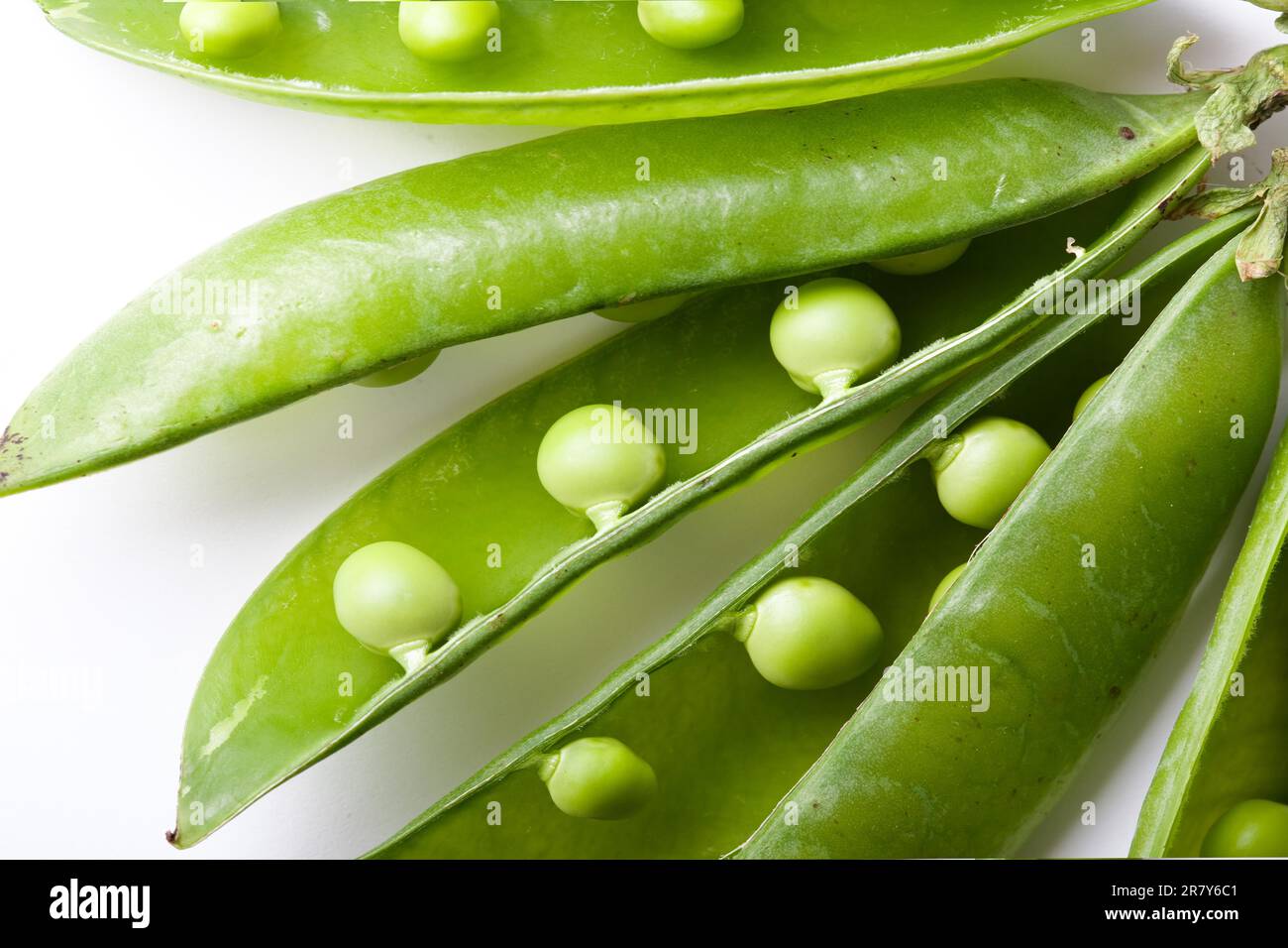 Fresh pea pods with a white background Stock Photo - Alamy