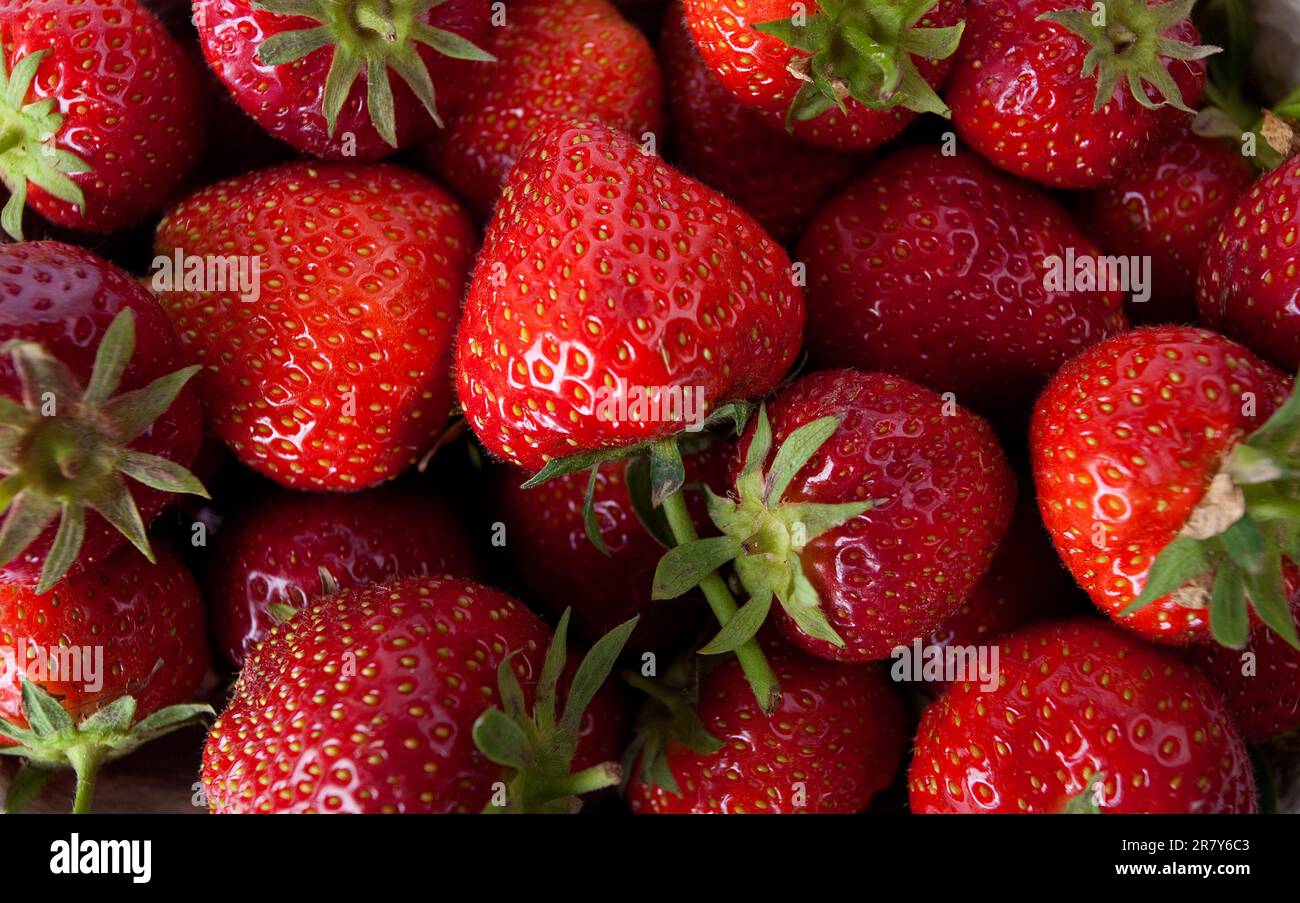 Strawberries in box punnet hi-res stock photography and images - Alamy