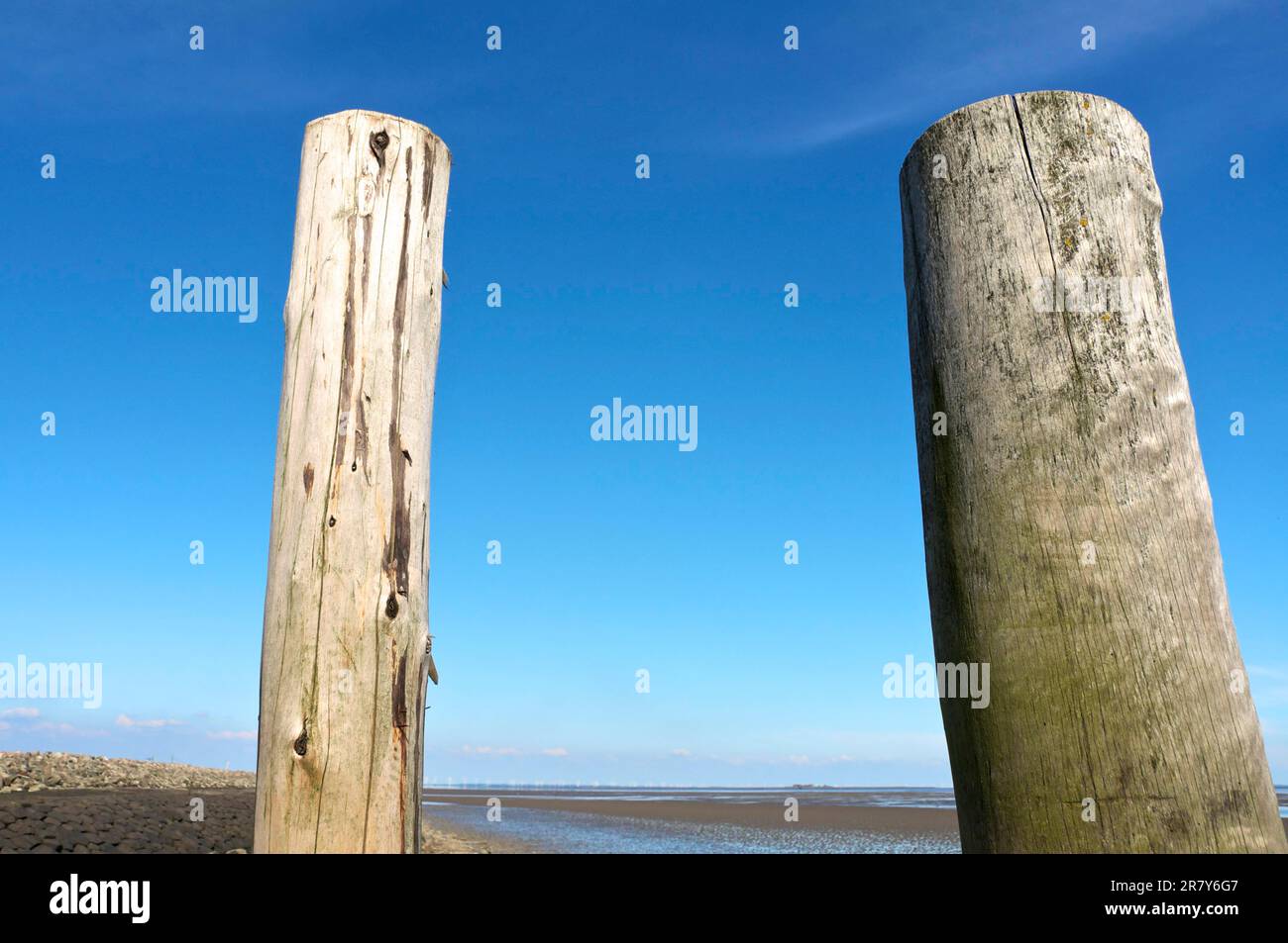 Dolphin structure hi-res stock photography and images - Alamy