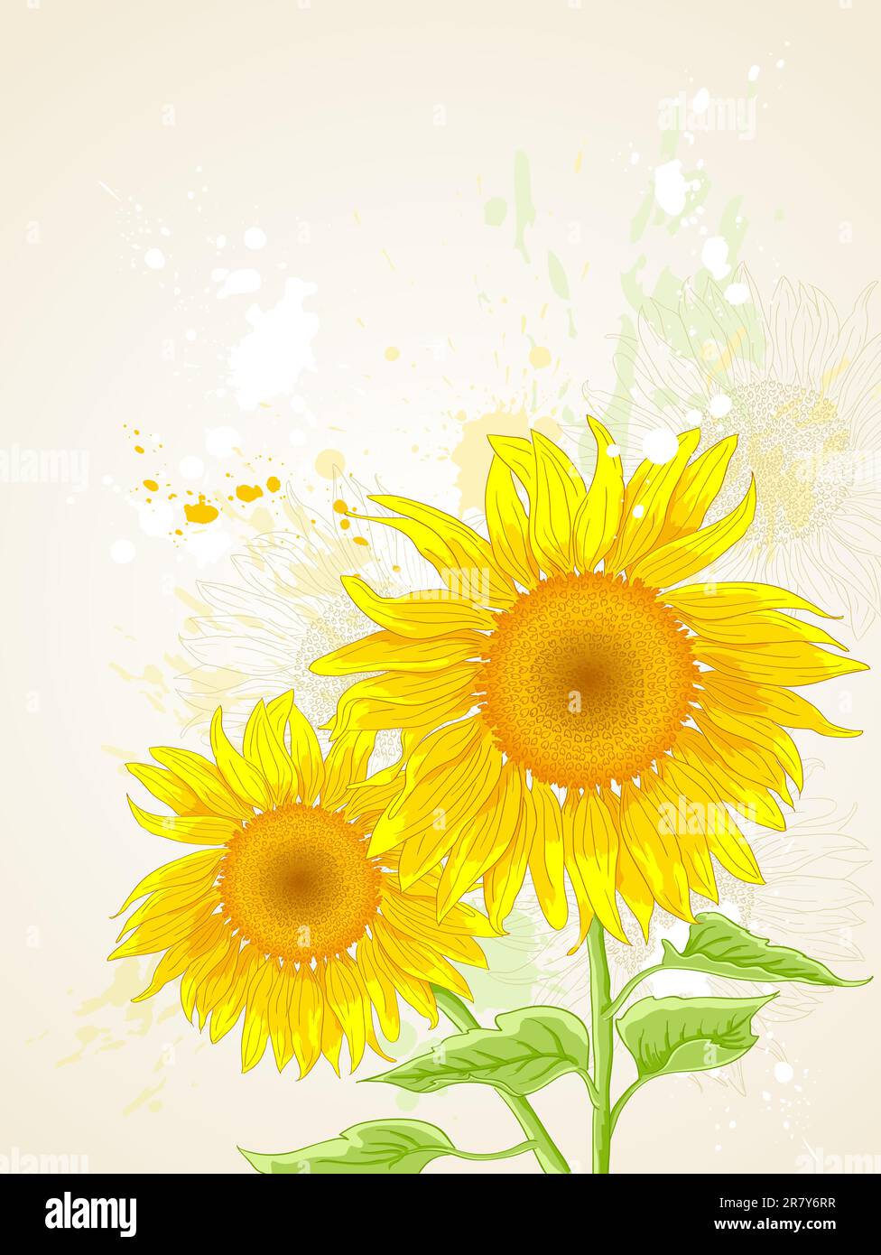 Sunflower vector hand drawn hi-res stock photography and images - Alamy
