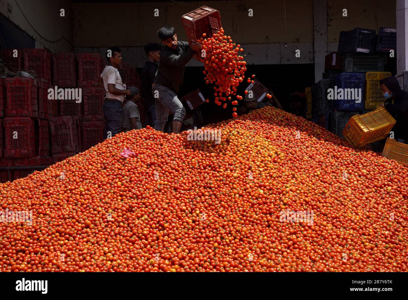 Tomato farmer nepal hi-res stock photography and images - Alamy
