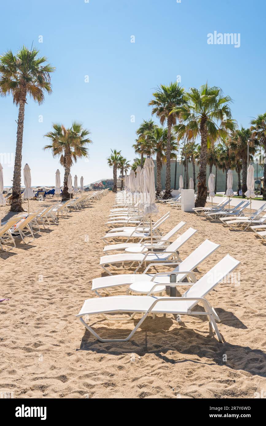 Empty bed chairs early morning on the Barceloneta beach in the same ...