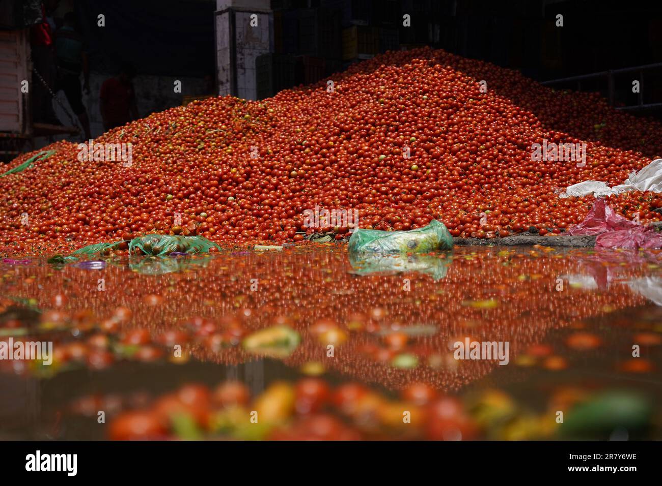 Tomato farmer nepal hi-res stock photography and images - Alamy