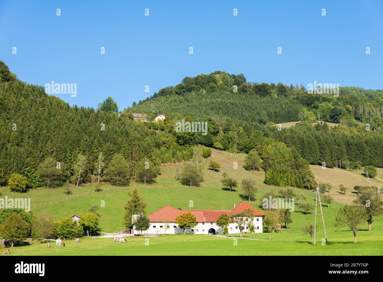 Landscape with Farmhouse in the Enns valley in Austria. The valley is ...