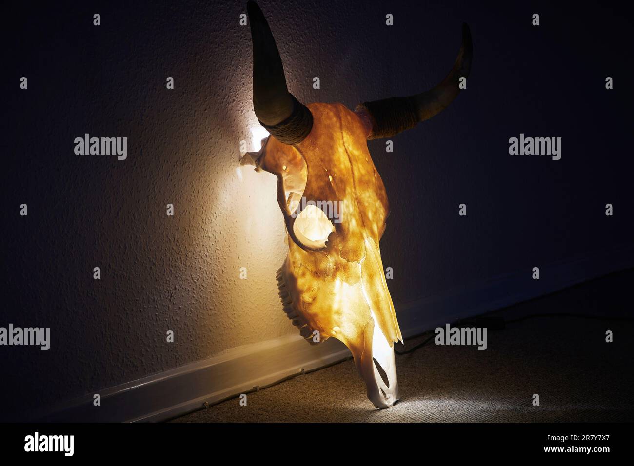 Huge bull skull turned into a lamp Stock Photo - Alamy