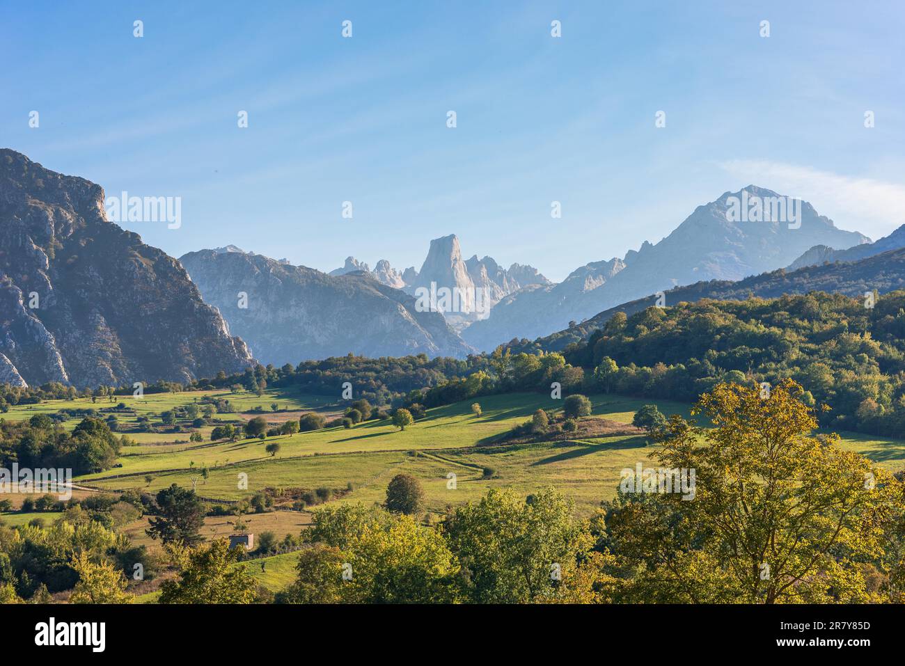 Crossing woodland and mountain pasture, to discover the nature of the ...