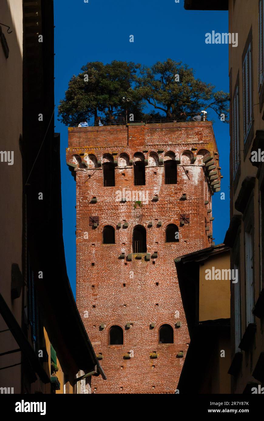 Lucca city landmark. View of the 14th century iconic Guinigi Tower from ...