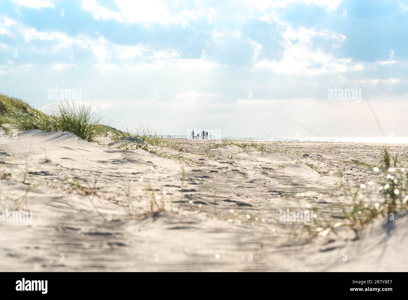 Endless beach hi-res stock photography and images - Alamy