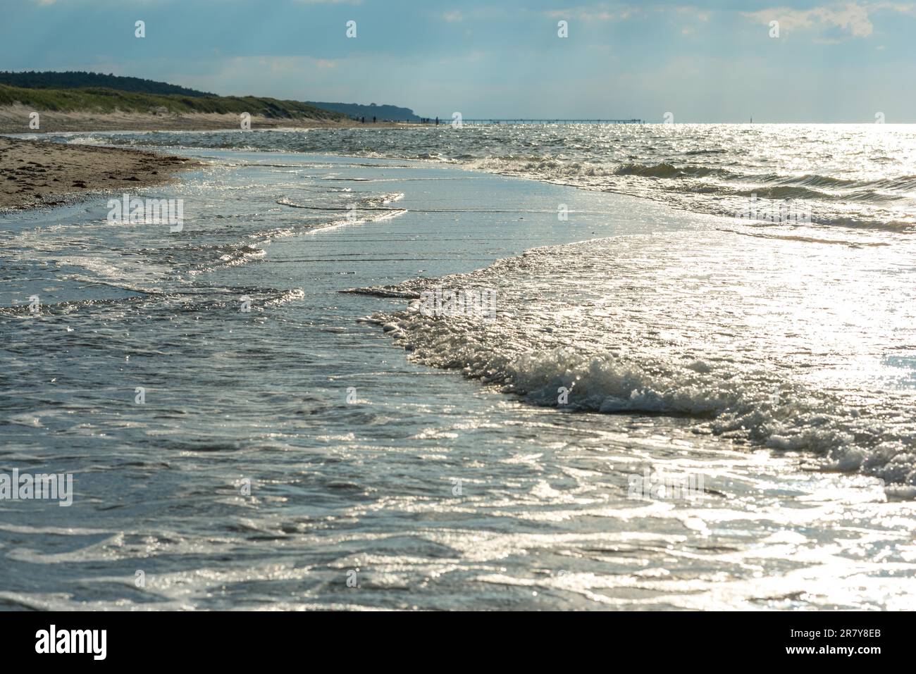 Endless beach in the region Fish Land, Darss, the northeastern part of ...