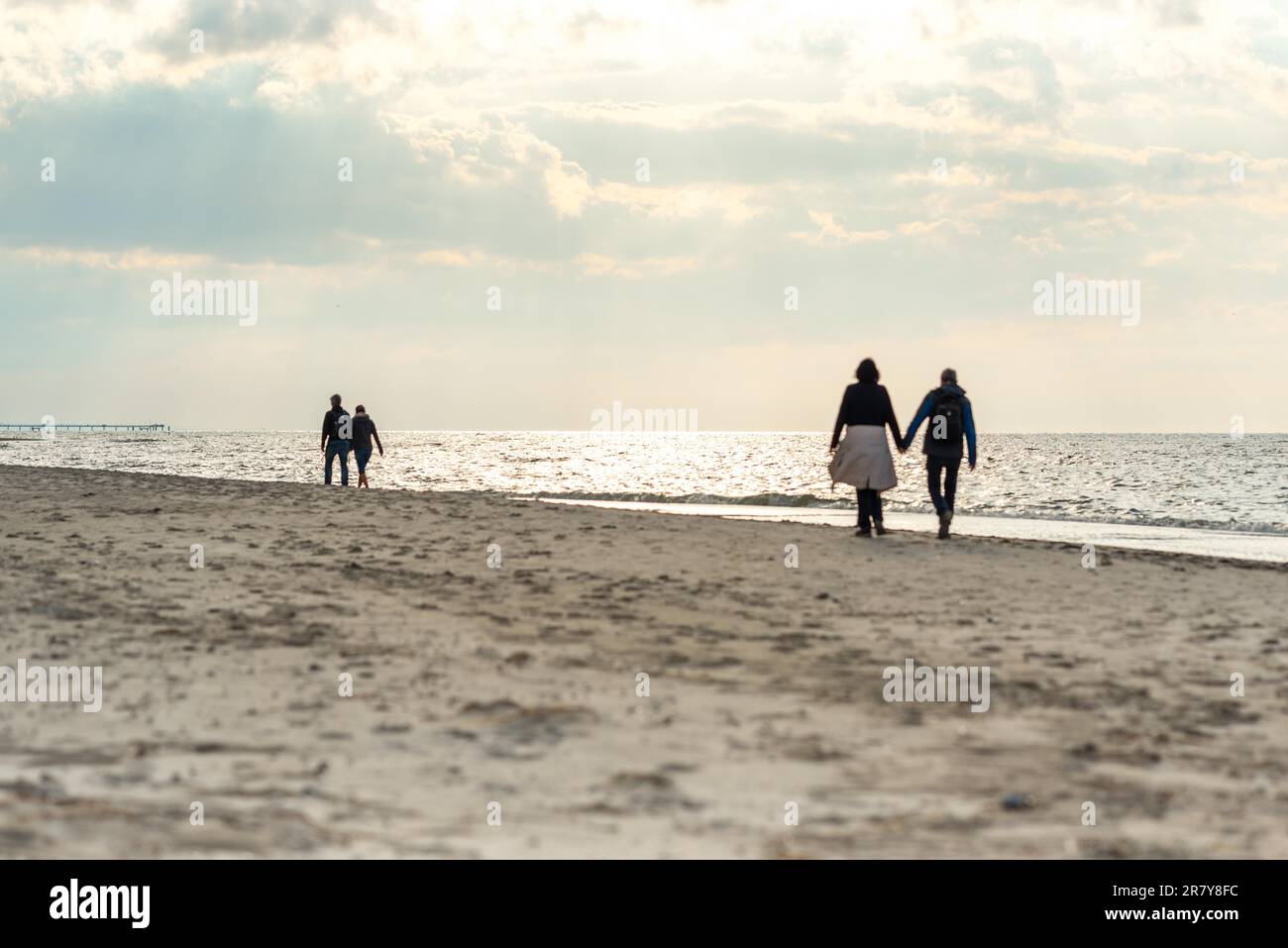 Endless beach in the region Fish Land, Darss, the northeastern part of ...