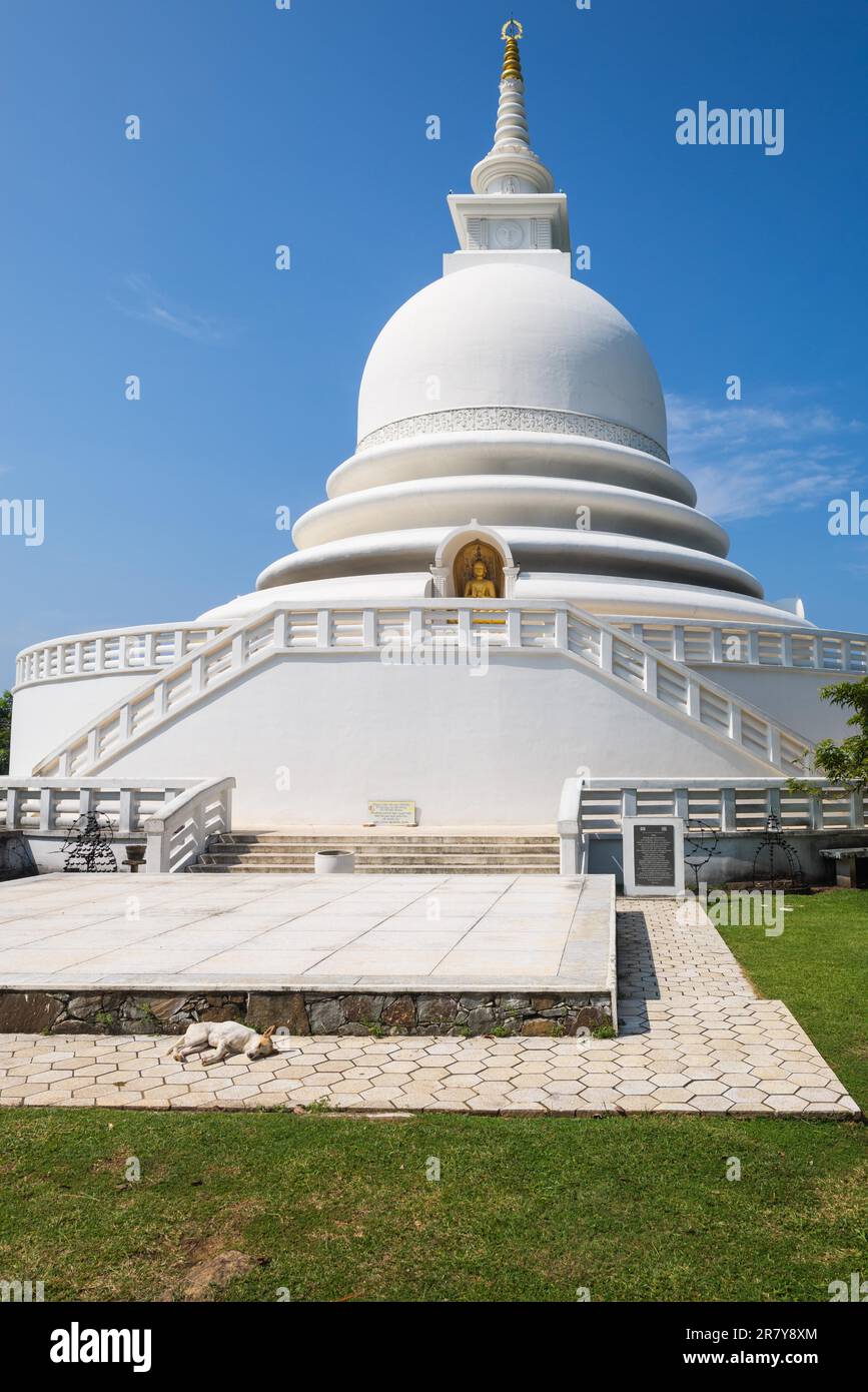 Stupa of the Japanese Peace Pagoda on top of the Rumassala hill in the ...