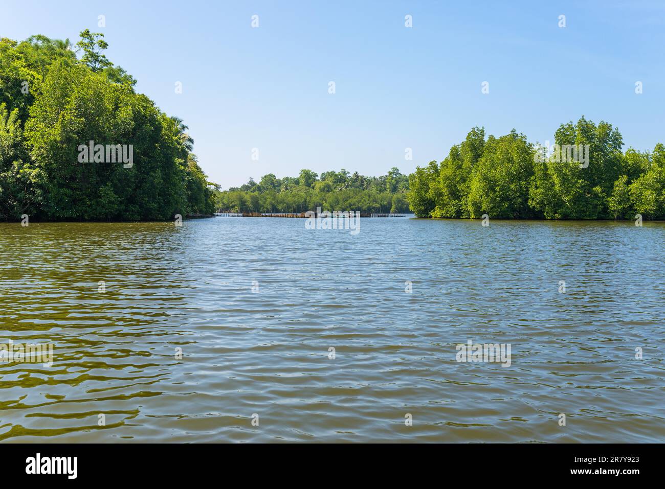Coastal lagoon named Hikkaduwa lake in the north-east of the city. With ...
