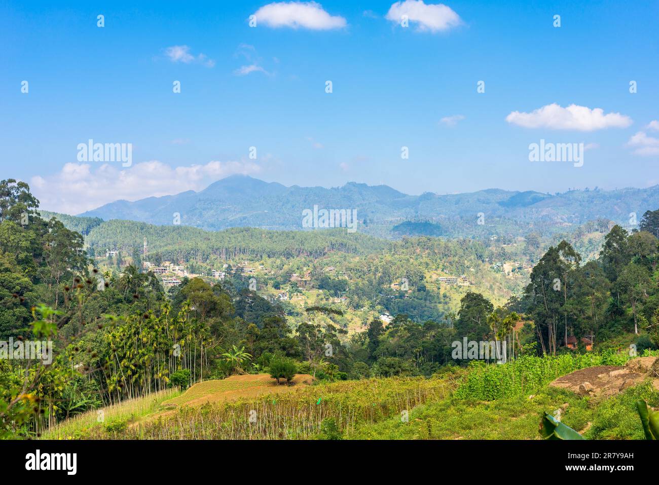 Ella town sri lanka hi-res stock photography and images - Alamy