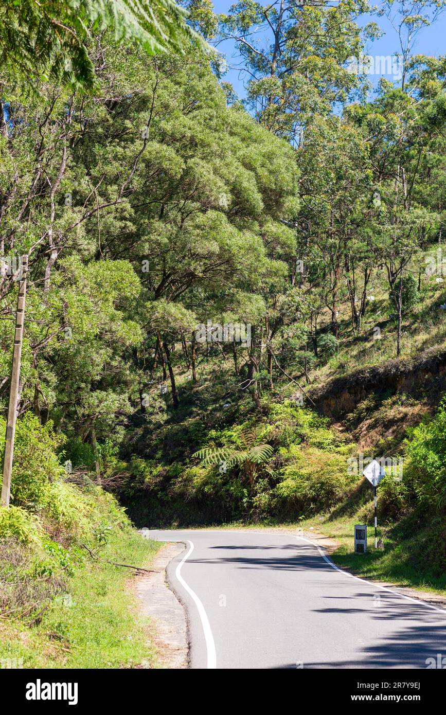 The Blackpool-Ambewela-Pattipola-Horton Plain Road leads across dry ...