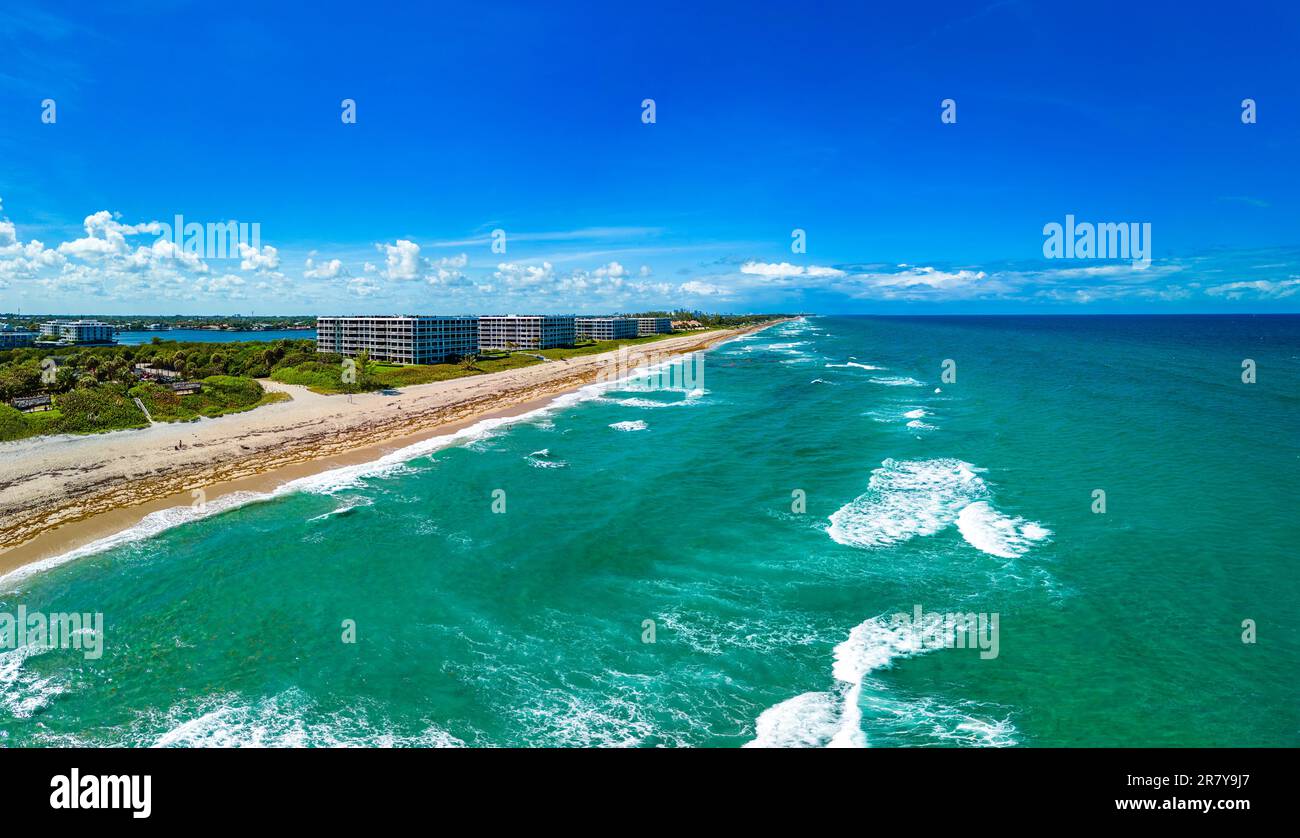 Phipps ocean park hi-res stock photography and images - Alamy