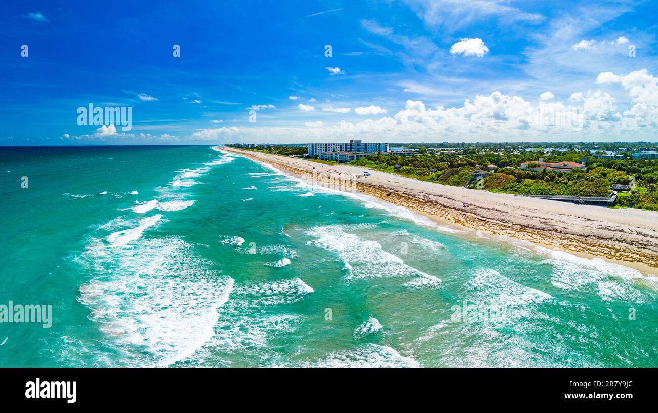 Phipps ocean park hi-res stock photography and images - Alamy