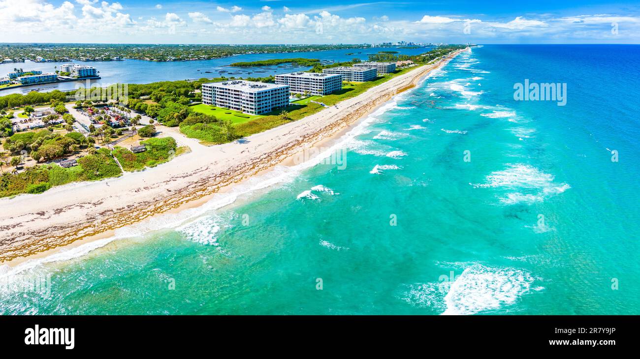 Phipps ocean park hi-res stock photography and images - Alamy