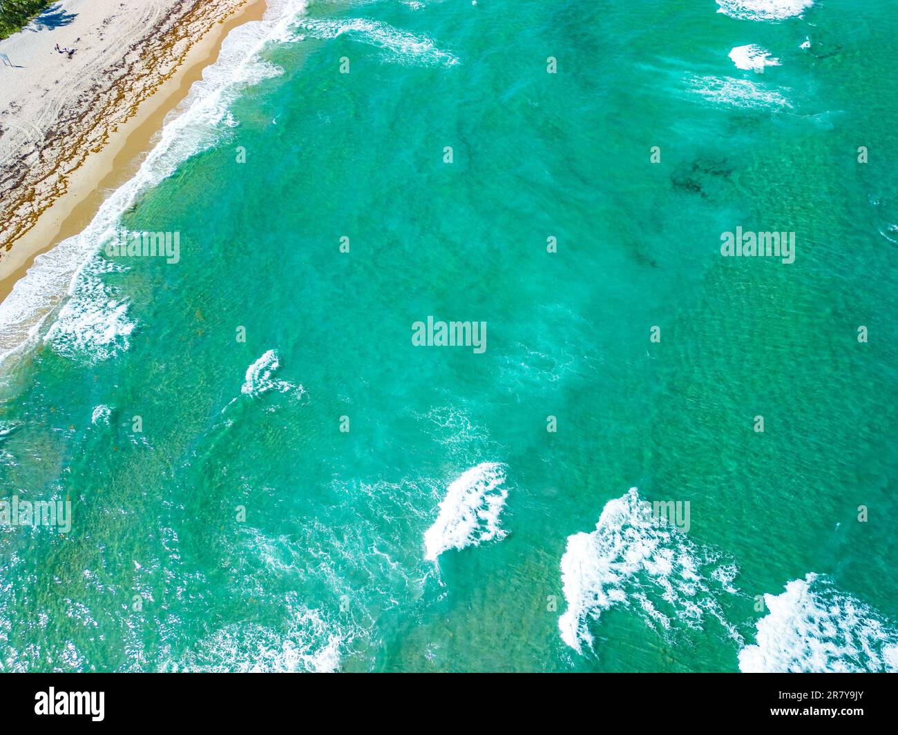 Phipps Ocean Park and Ibis Isle, West Palm Beach, Florida, USA Stock ...