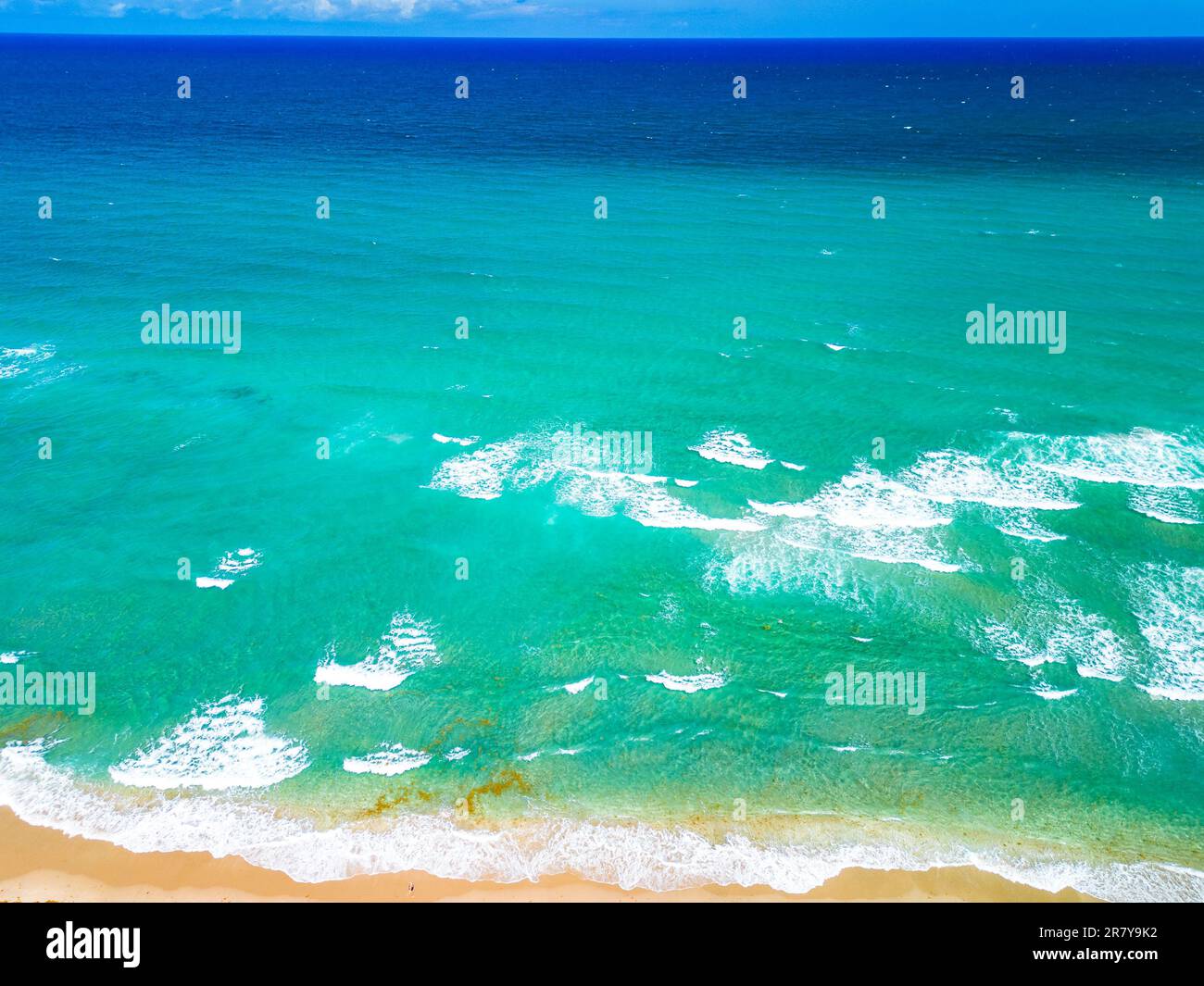 Phipps Ocean Park and Ibis Isle, West Palm Beach, Florida, USA Stock ...