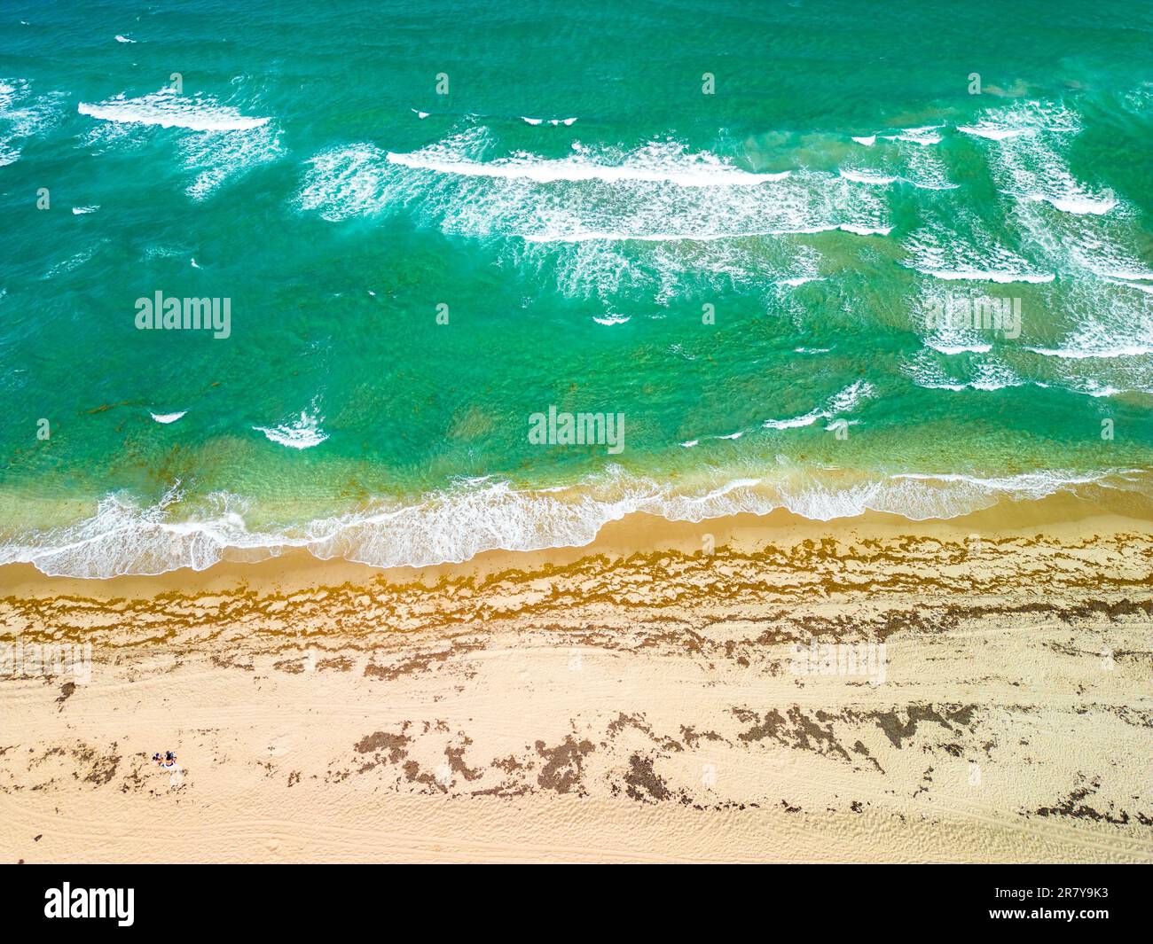 Phipps ocean park hi-res stock photography and images - Alamy