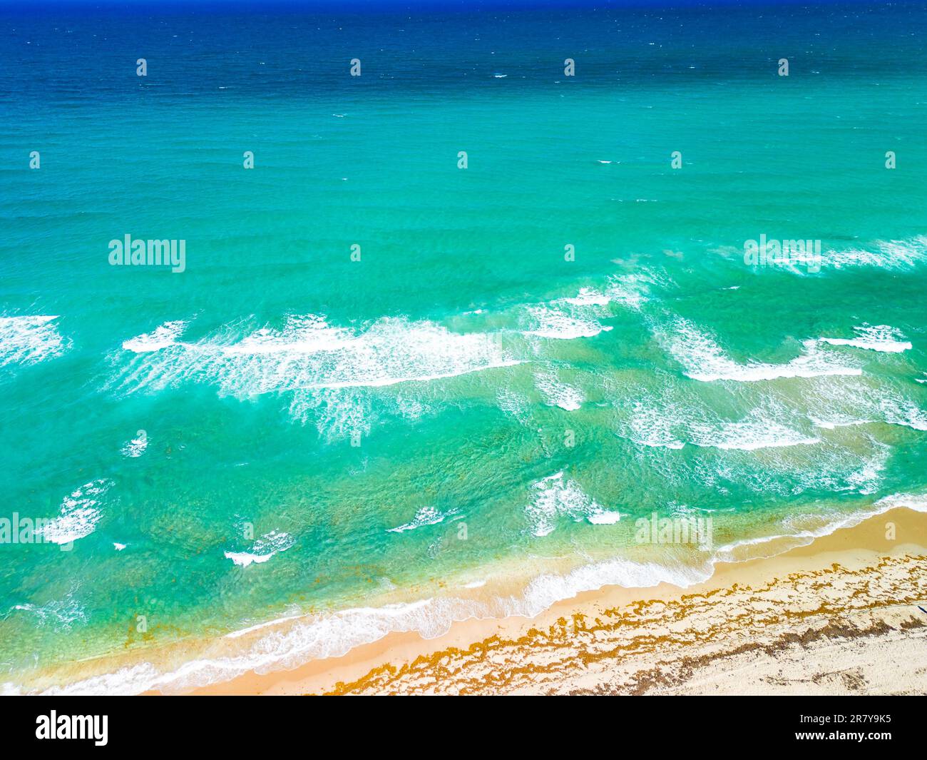 Phipps Ocean Park and Ibis Isle, West Palm Beach, Florida, USA Stock ...