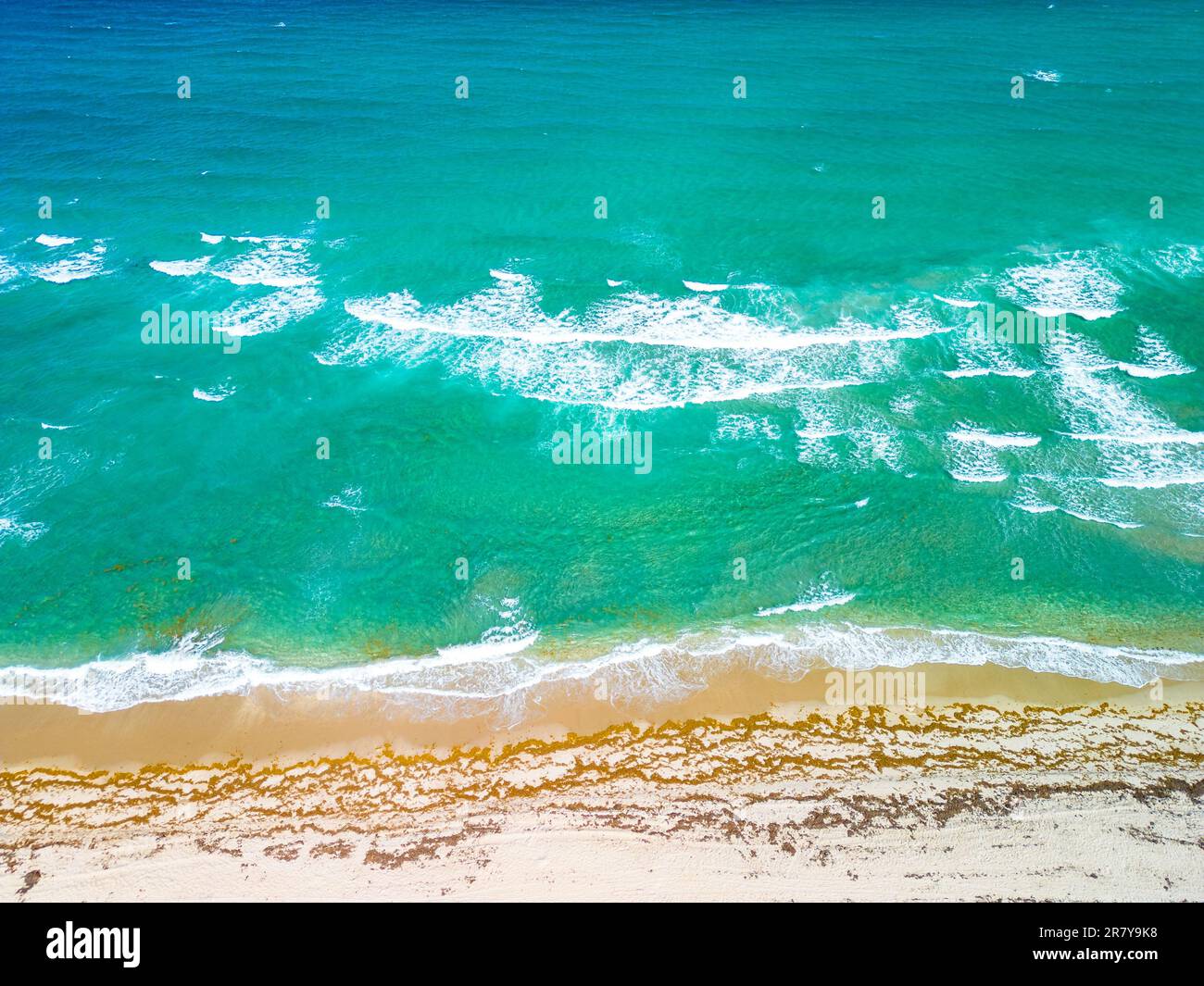 Phipps Ocean Park and Ibis Isle, West Palm Beach, Florida, USA Stock ...