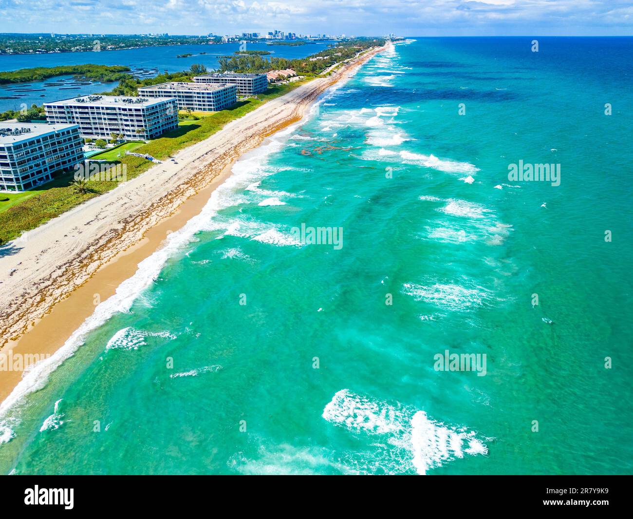 Phipps ocean park hi-res stock photography and images - Alamy
