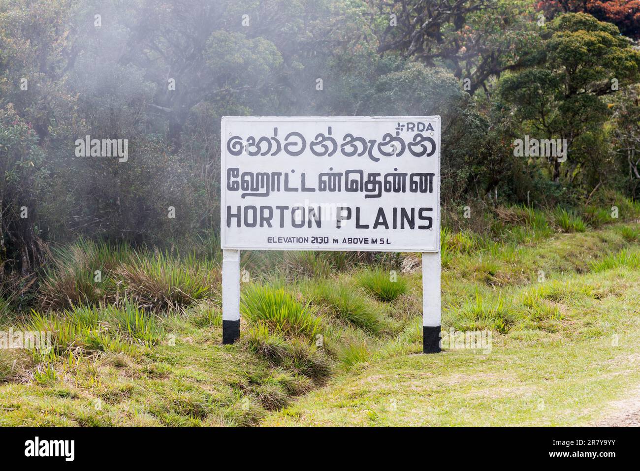 The Horton Plains National Park. This plateau at an altitude of 2, 100 ...
