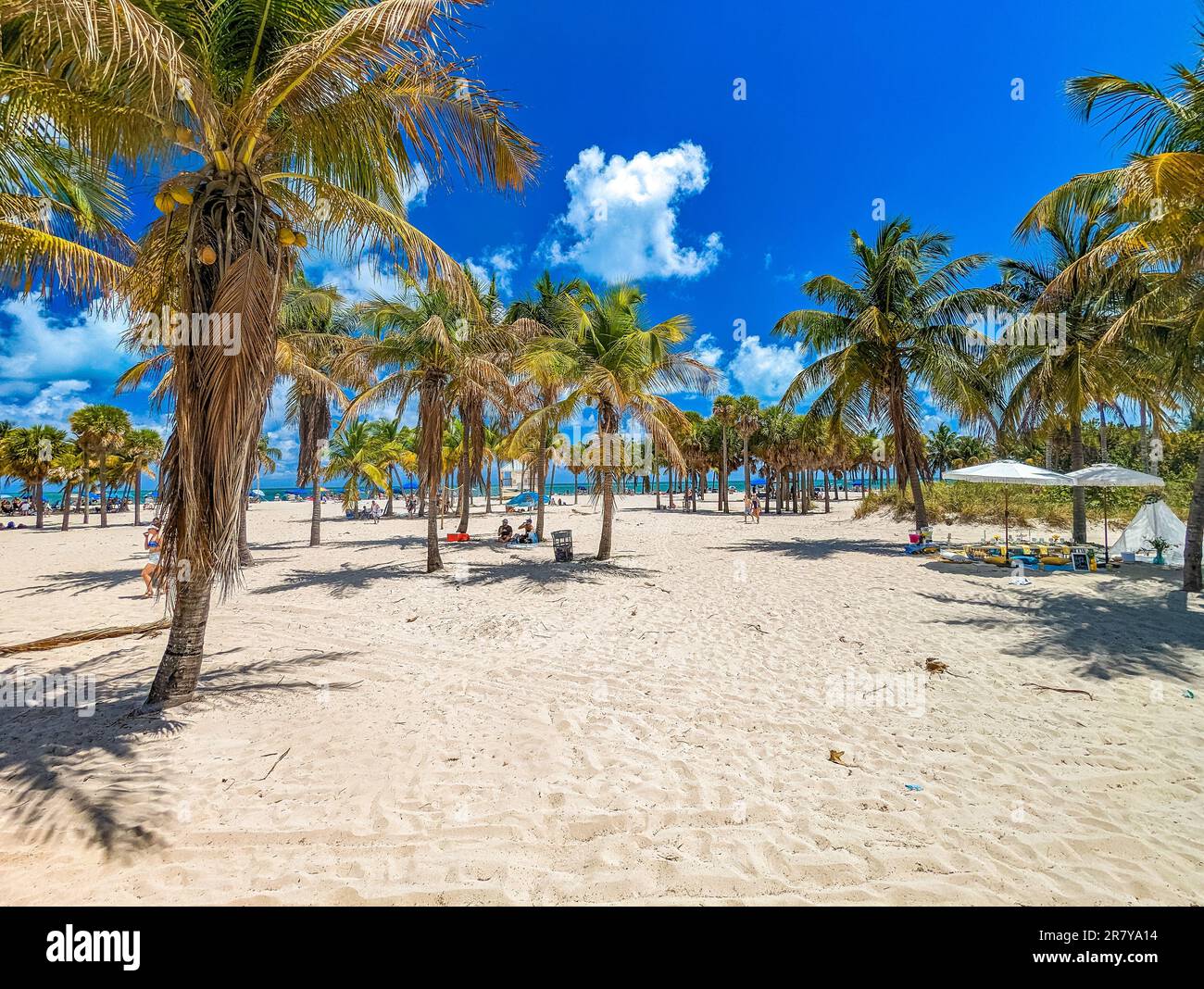 Beautiful Crandon Park beach in Key Biscayne in Miami, USA Stock Photo ...